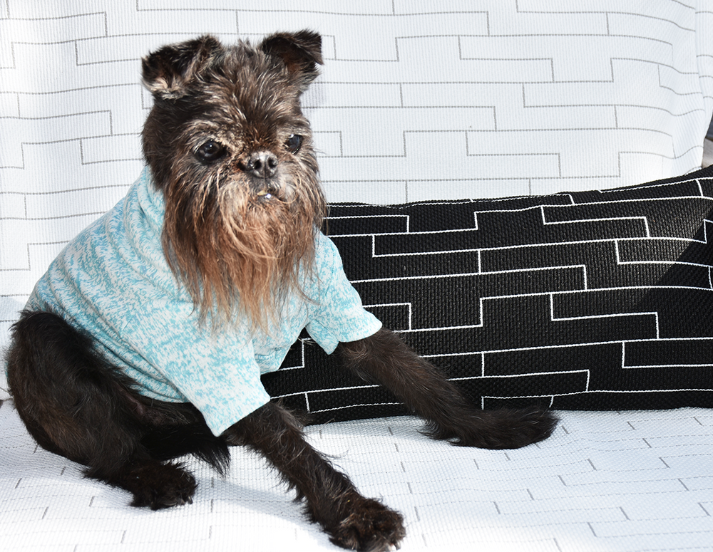Mr Soft Top Designer Dogwear – Mr Soft Top Dogwear