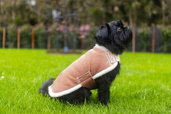 Mr Soft Top Designer Dogwear#N# – Mr Soft Top Dogwear