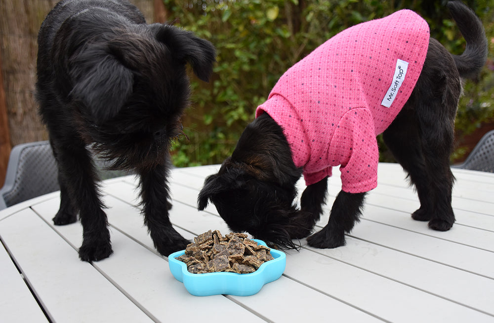 Mr Soft Top Designer Dogwear – Mr Soft Top Dogwear
