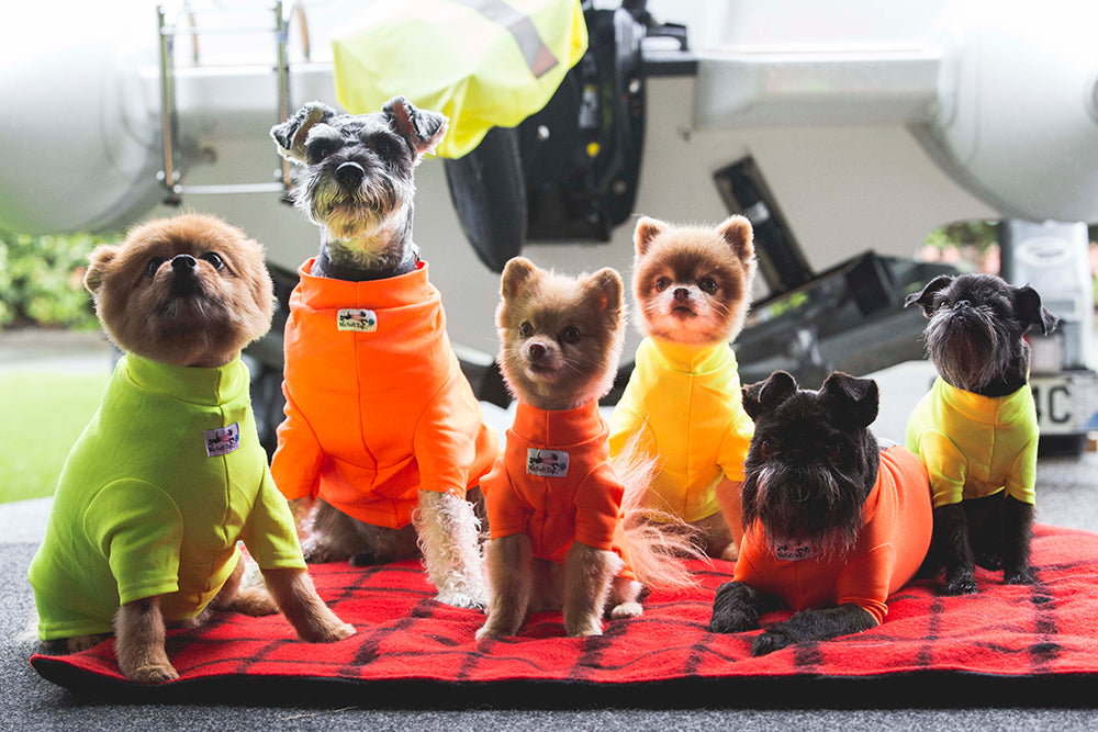 Mr Soft Top Designer Dogwear – Mr Soft Top Dogwear