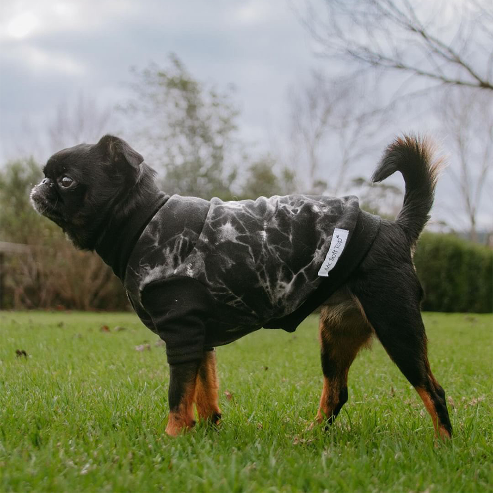 Mr Soft Top Designer Dogwear – Mr Soft Top Dogwear
