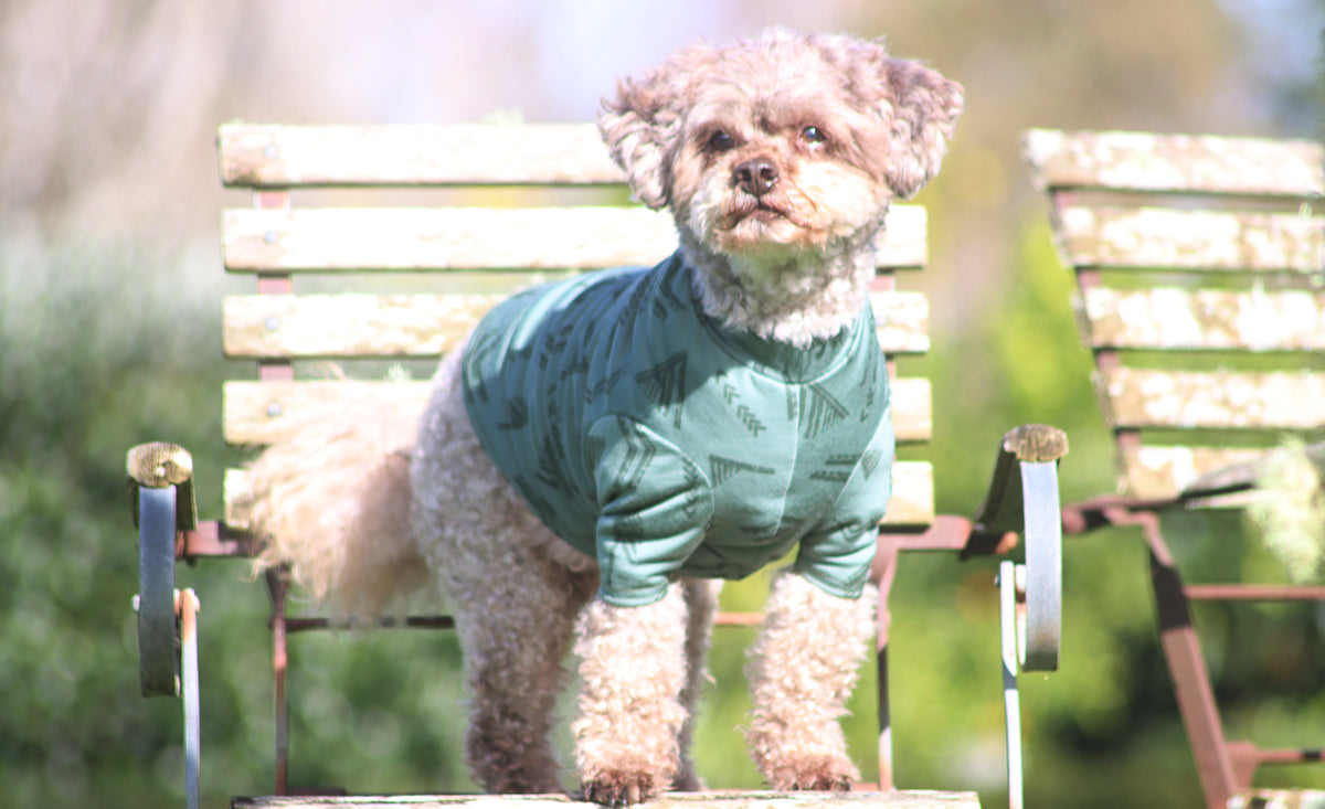 Mr Soft Top Designer Dogwear – Mr Soft Top Dogwear