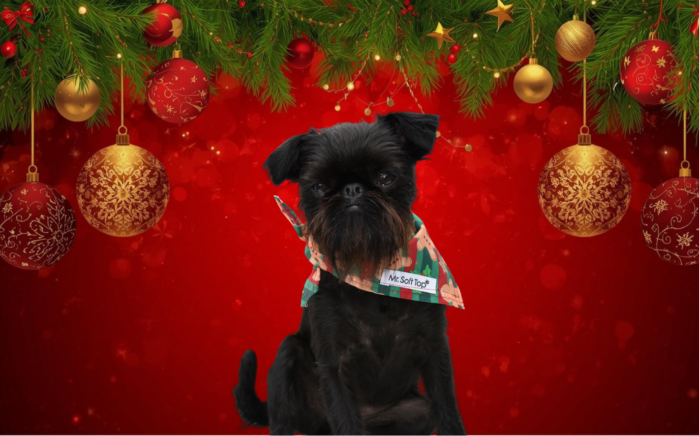 Mr Soft Top Designer Dogwear – Mr Soft Top Dogwear