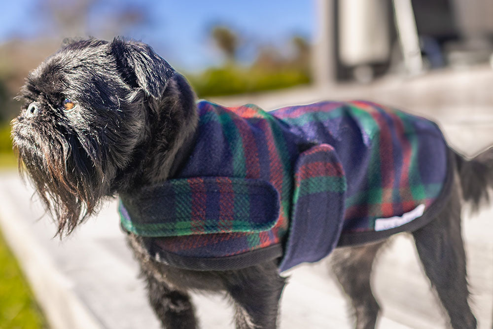 Mr Soft Top Designer Dogwear – Mr Soft Top Dogwear