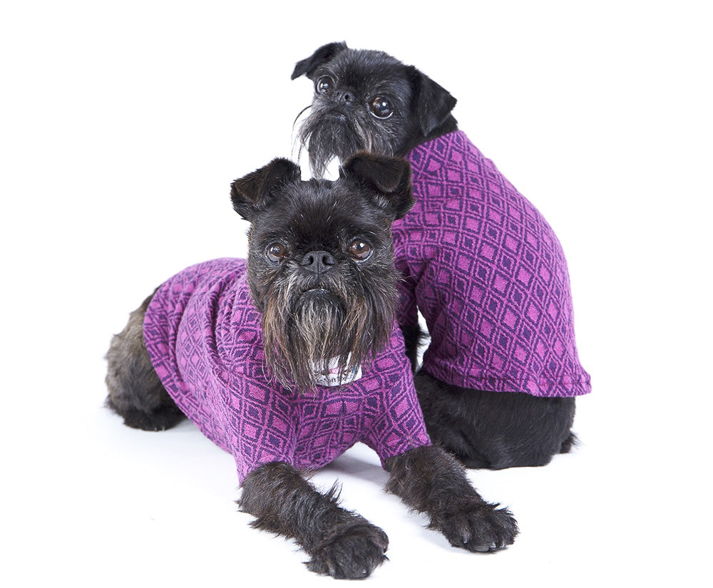 Mr Soft Top Designer Dogwear – Mr Soft Top Dogwear