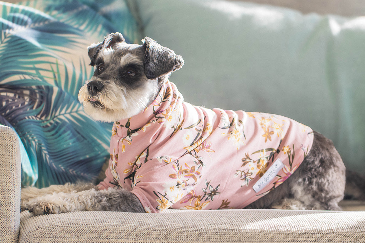 Mr Soft Top Designer Dogwear – Mr Soft Top Dogwear