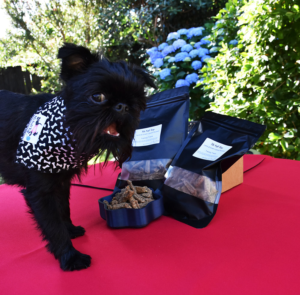 Mr Soft Top Designer Dogwear – Mr Soft Top Dogwear