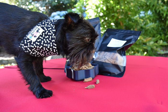 Mr Soft Top Designer Dogwear – Mr Soft Top Dogwear