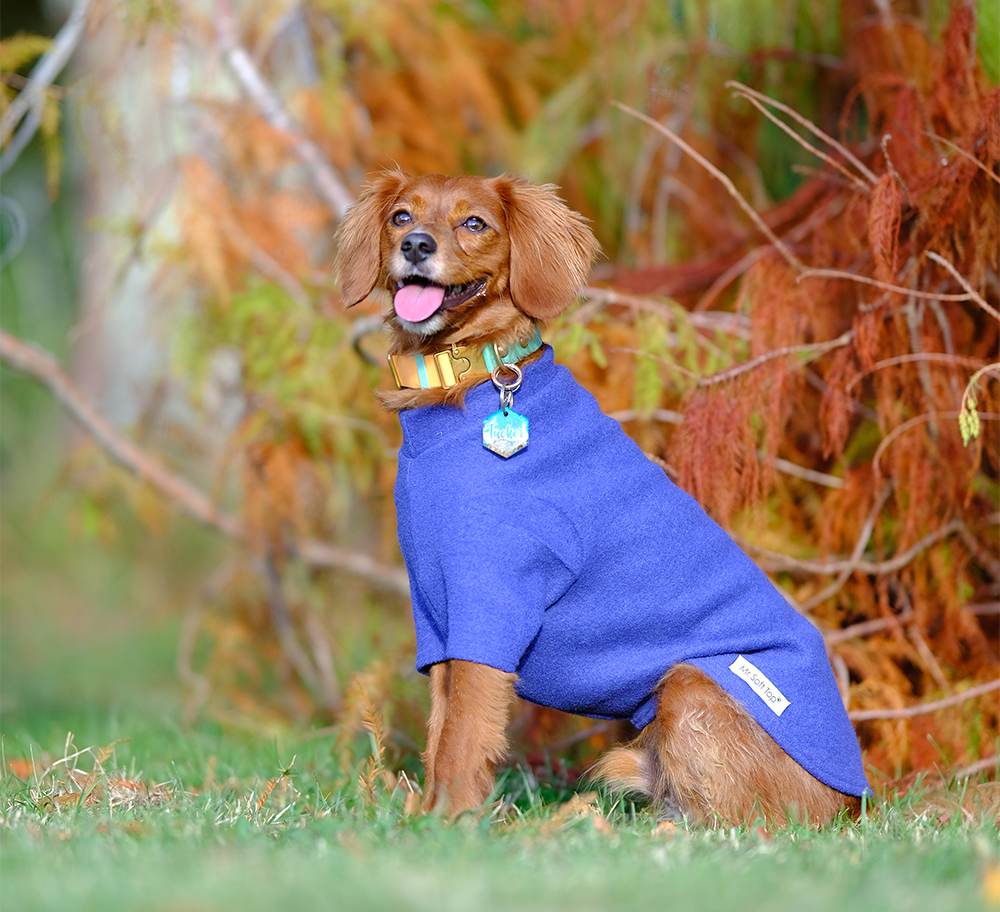 Mr Soft Top Designer Dogwear – Mr Soft Top Dogwear