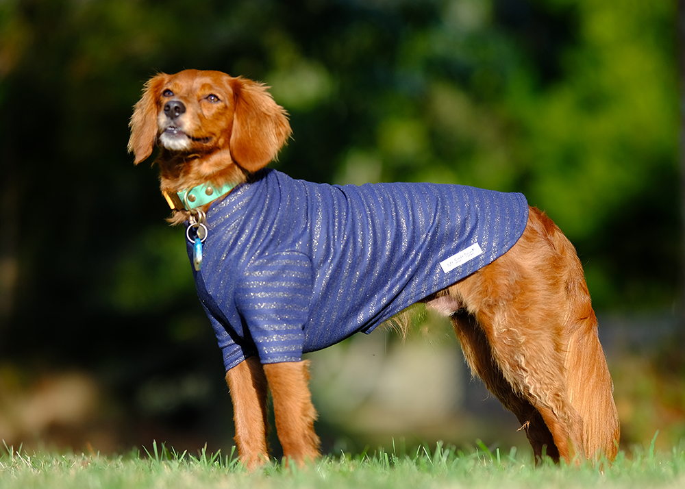 Mr Soft Top Designer Dogwear – Mr Soft Top Dogwear