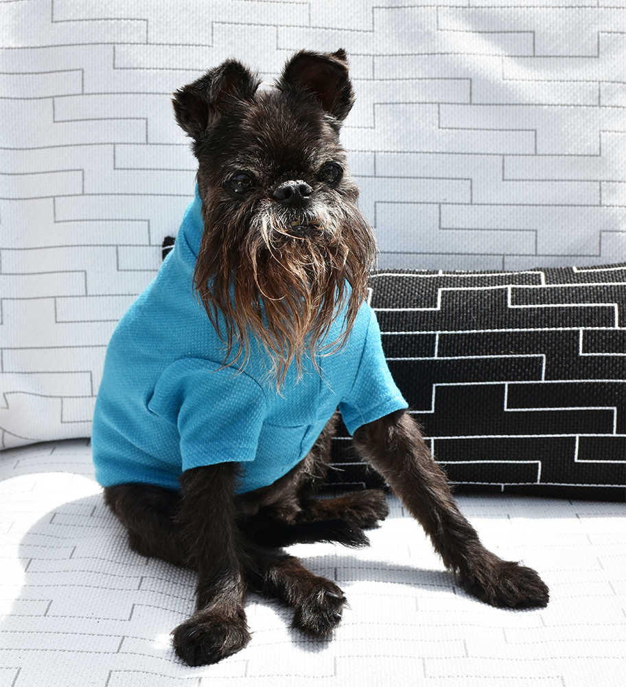 Mr Soft Top Designer Dogwear – Mr Soft Top Dogwear