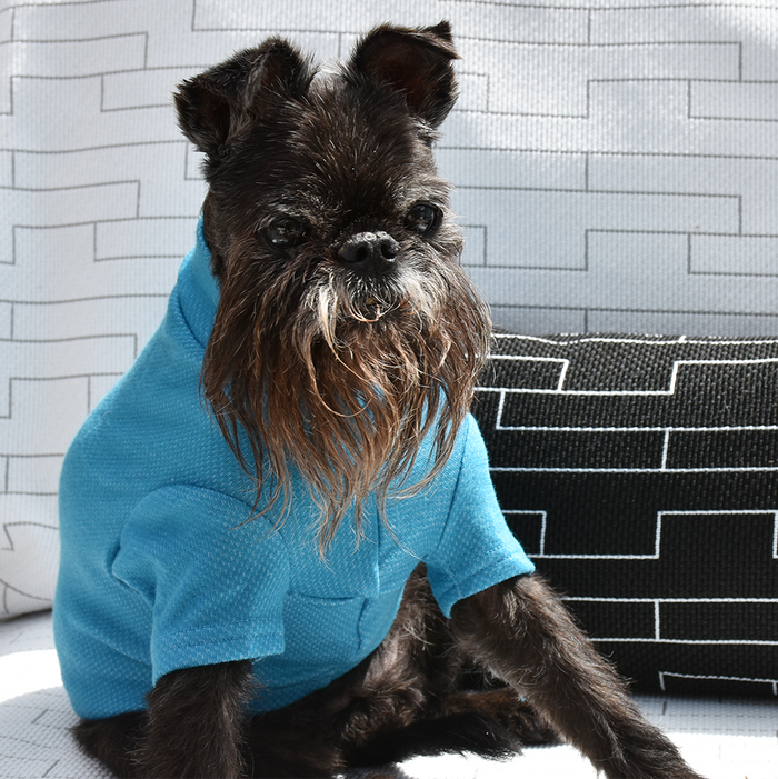 Mr Soft Top Designer Dogwear – Mr Soft Top Dogwear
