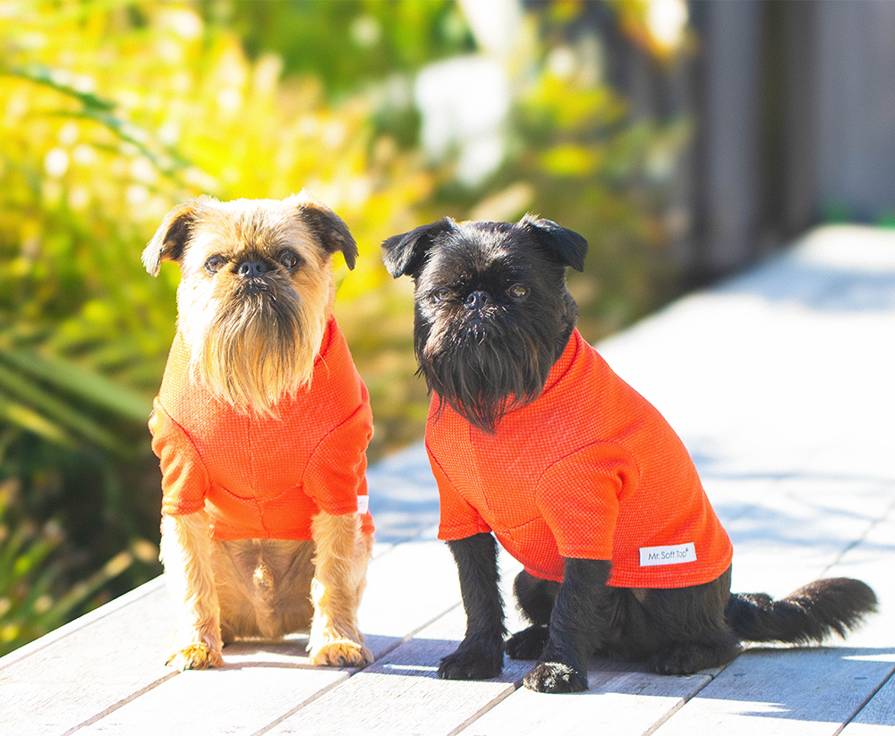 Mr Soft Top Designer Dogwear – Mr Soft Top Dogwear