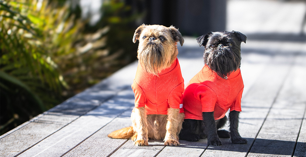 Mr Soft Top Designer Dogwear – Mr Soft Top Dogwear