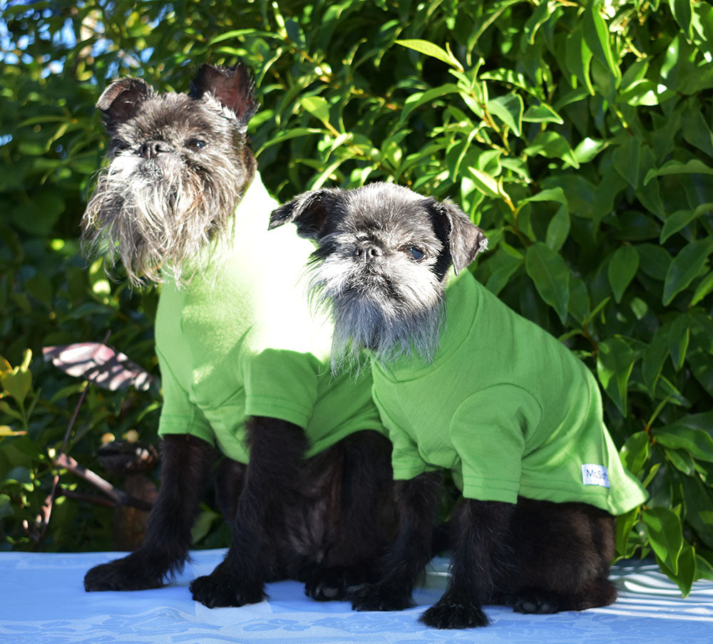 Avocado Lightweight Merino Tee – Mr Soft Top Dogwear
