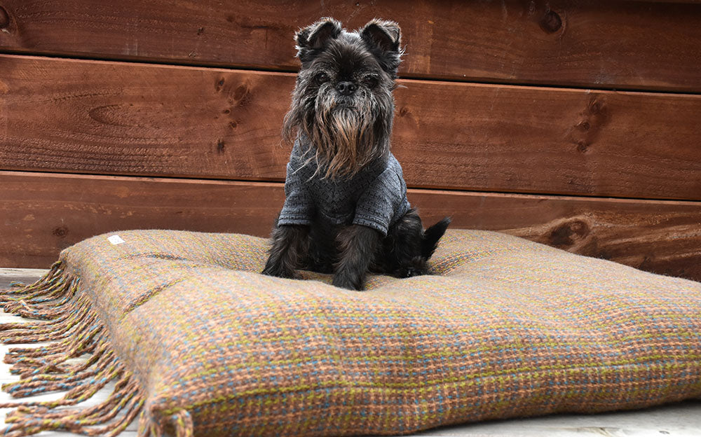 Taupe, Turquiose and Green 100% Lambswool Luxury Dog Bed – Mr Soft Top ...