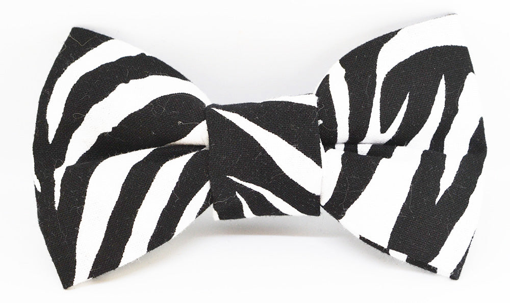 Zebra Bow – Mr Soft Top Dogwear